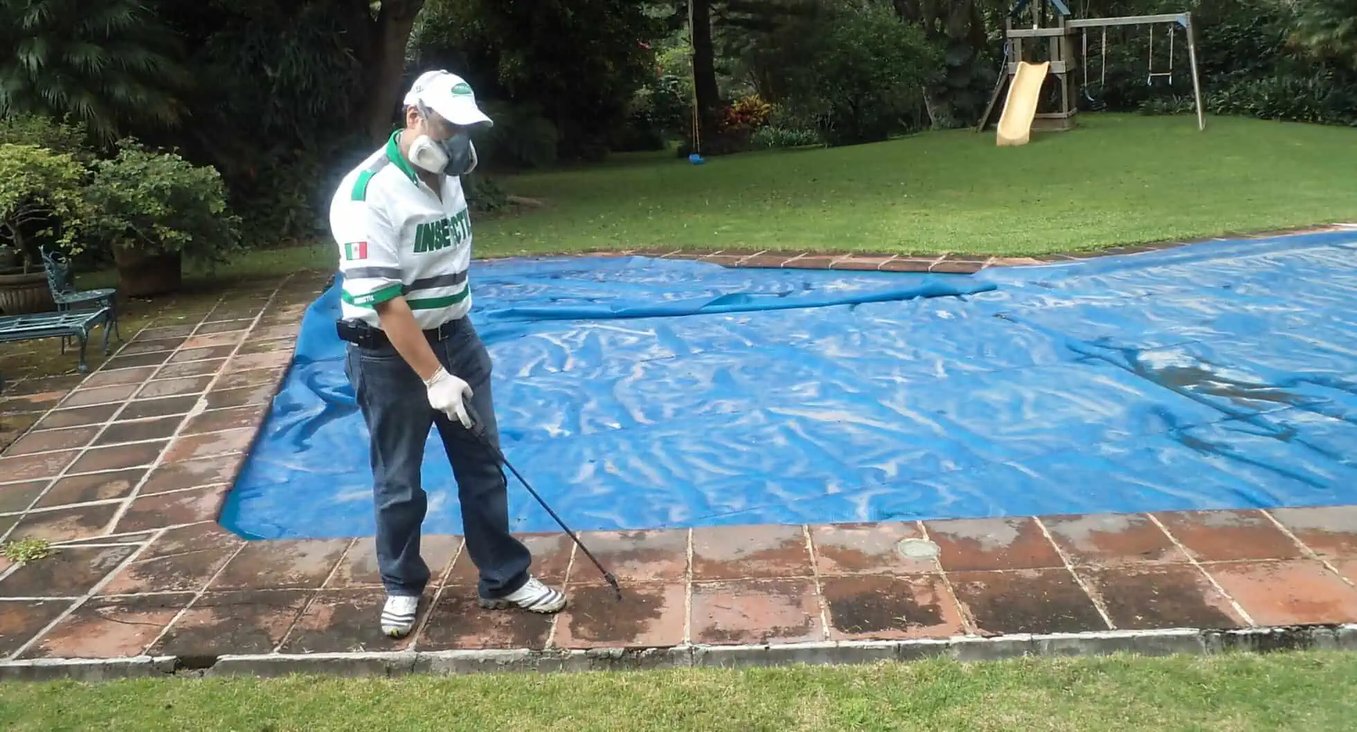 ¿Por qué tengo que fumigar con servicio de fumigación en CDMX?